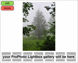 The Mist - Sarah Murray Photography - Cape Cod Fine Art Portrait ...